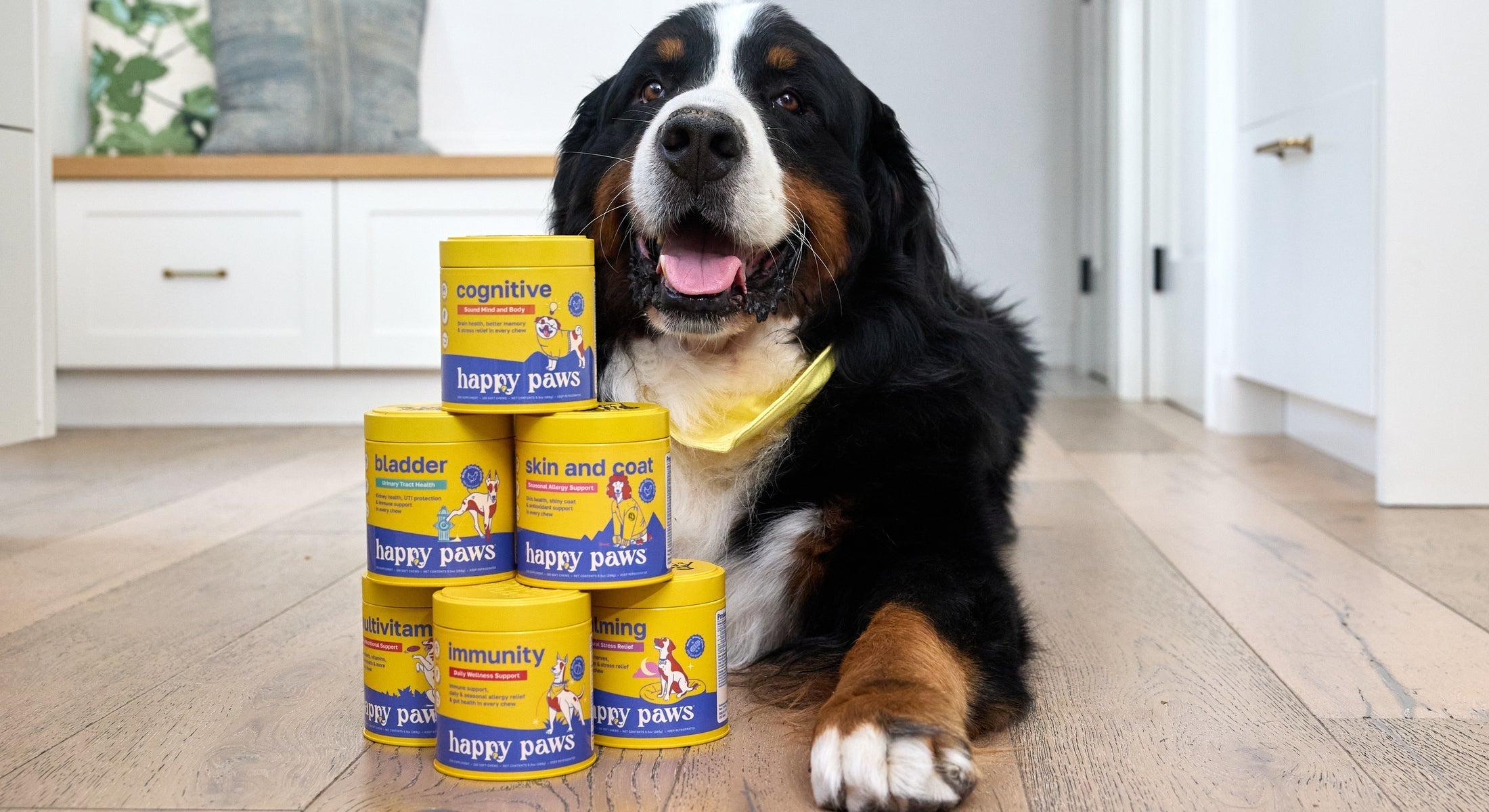 A Beginner's Guide to Dog Supplements & Vitamins – Happy Paws
