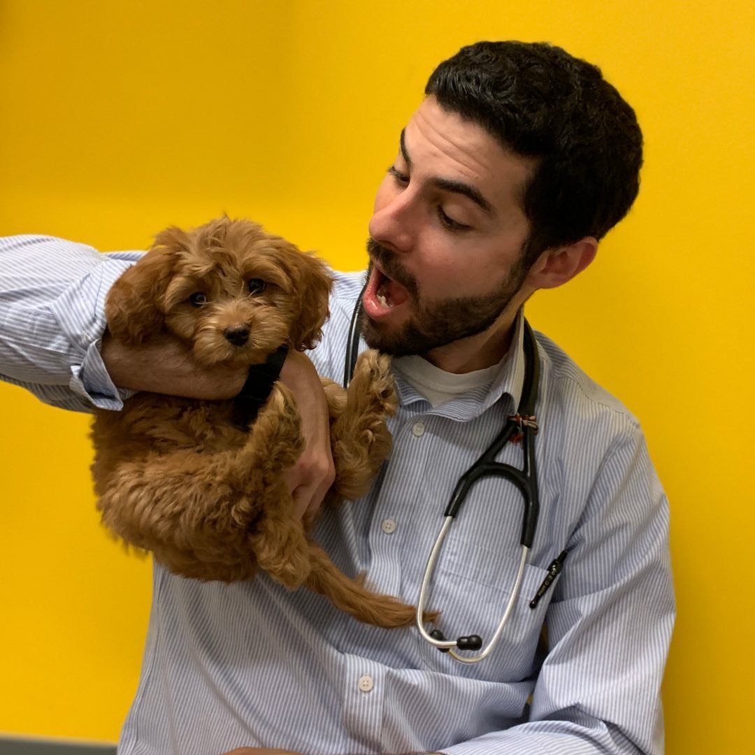 Dr. Jason Epstein – Happy Paws